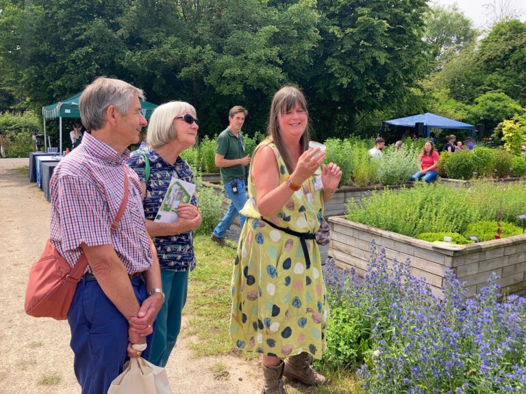 Addicted to Bees – Jean Vernon reveals the secret world of garden ...